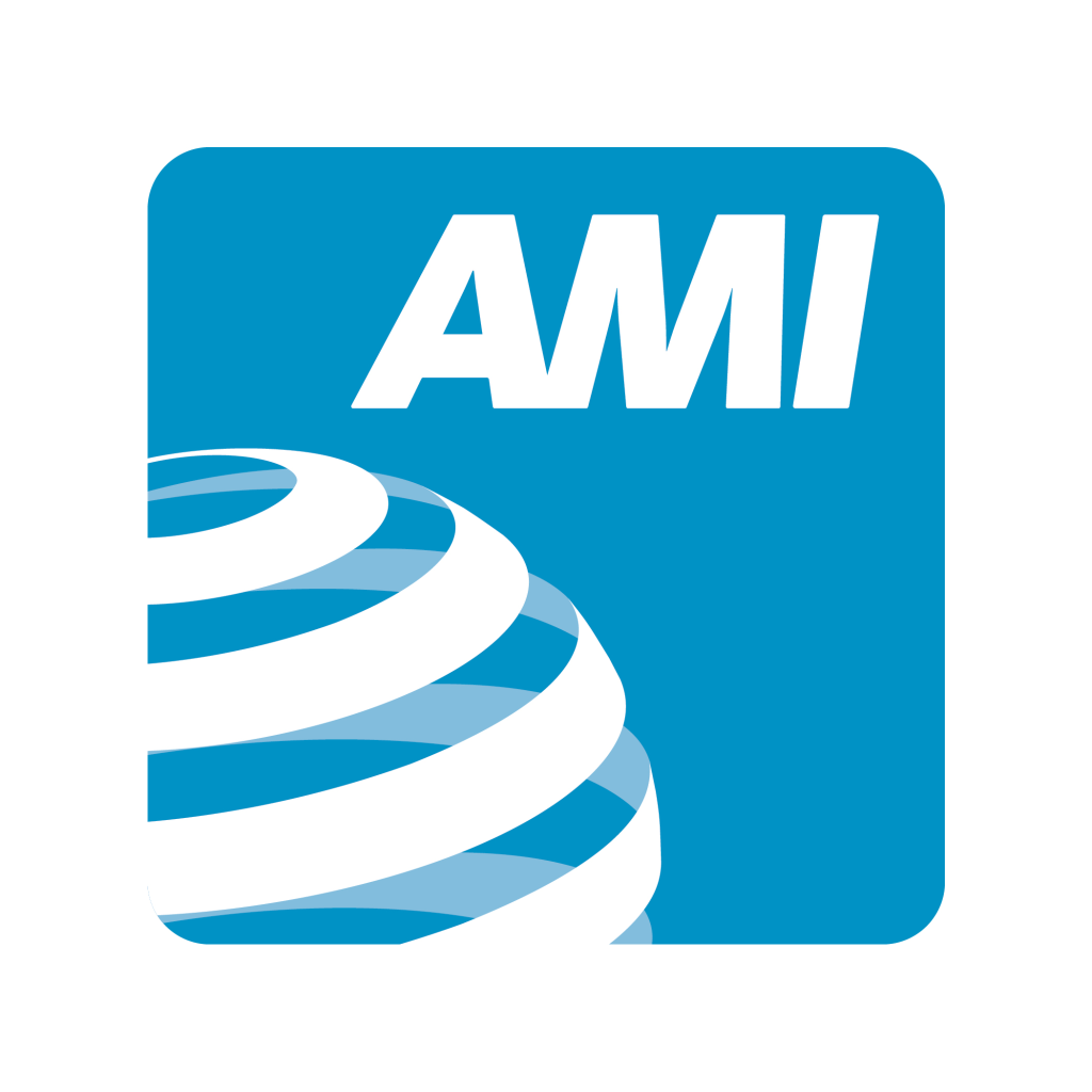 Igneous ERP - Take full advantage of your ERP investment